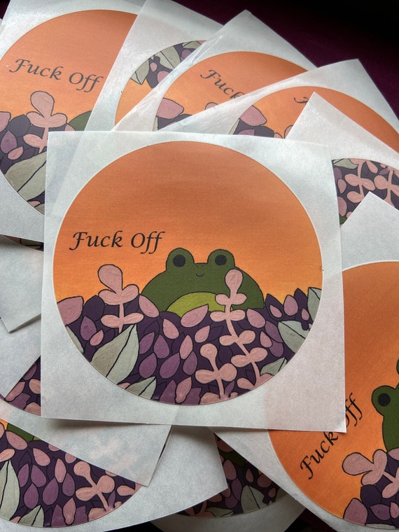 Inappropriate Words Cute Frog Hydro Flask Sticker Quotes for - Etsy