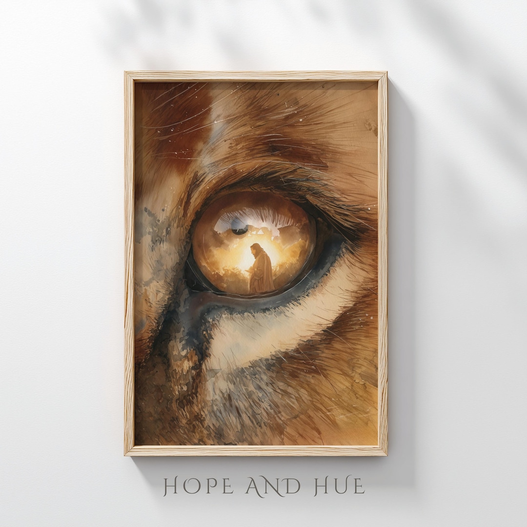 Seen in His Gaze – Jesus Reflected in the Lion’s Eye, Lion of Judah ...