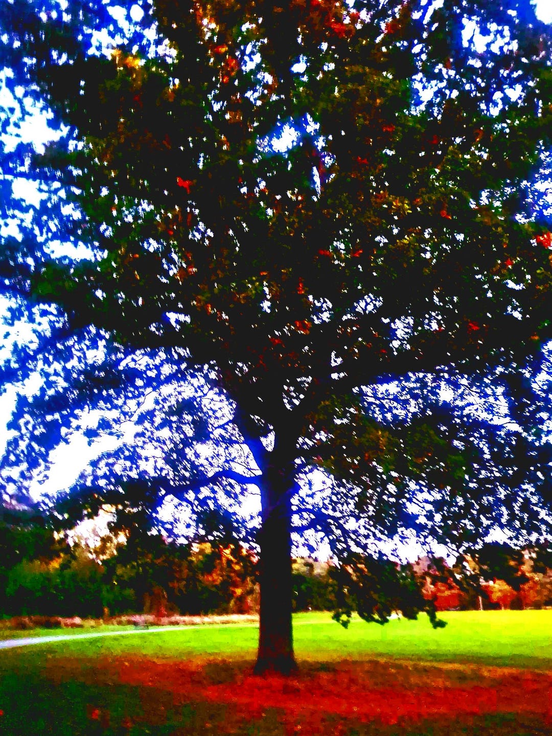 Isolated Chrome Tree Downloadable Image - Etsy