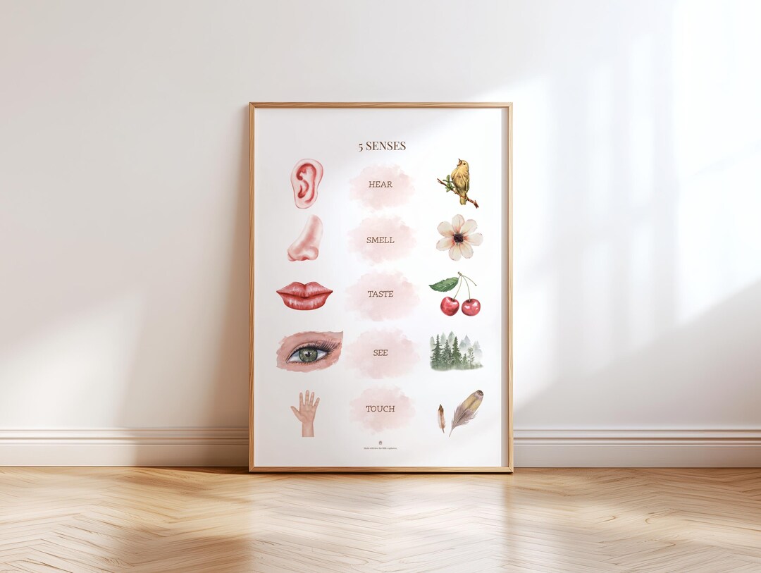 Five Senses Poster Printable Montessori Preschool Sensory Development ...