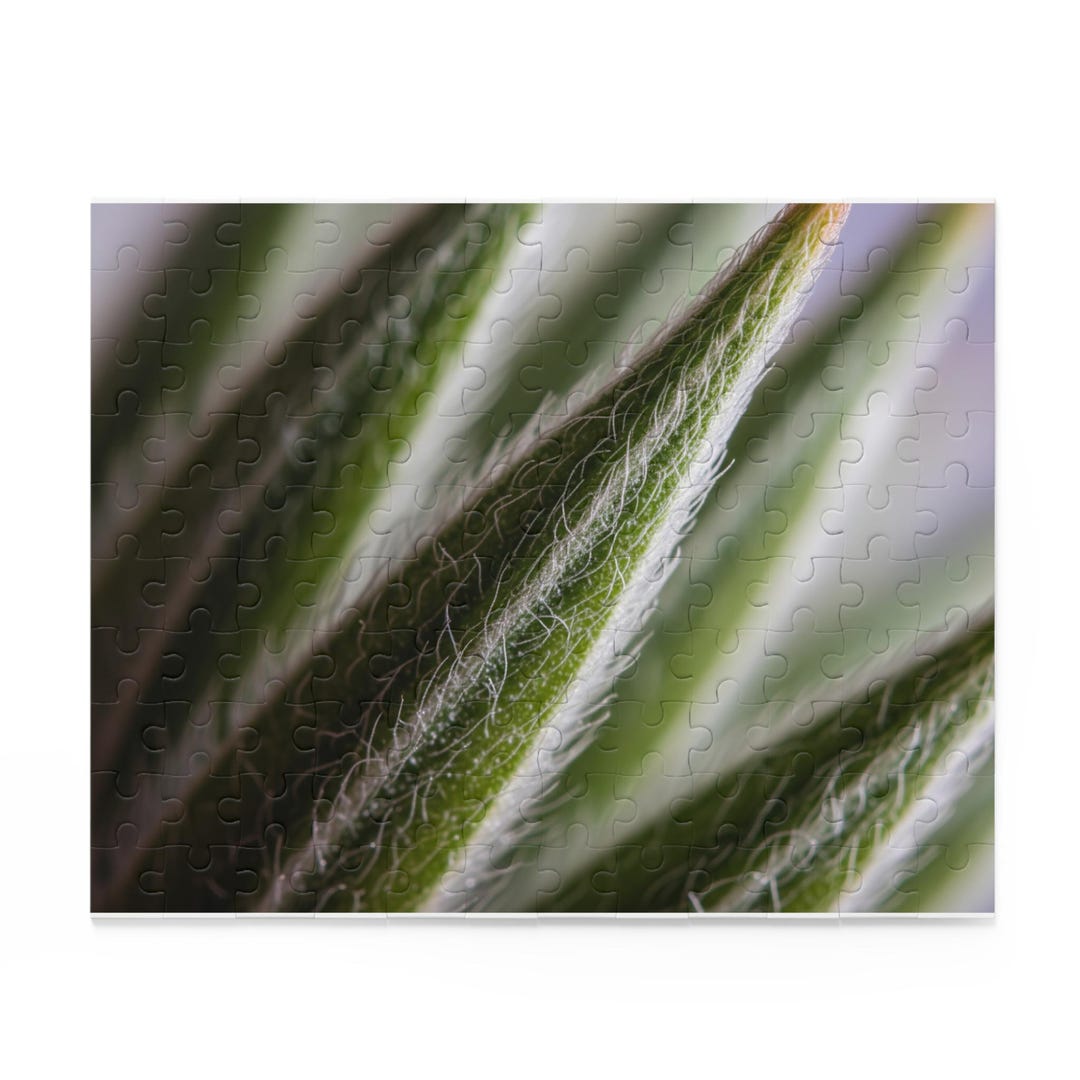 Puzzle, Botanical Minimalism Green Abstract Nature Photography for Calm ...