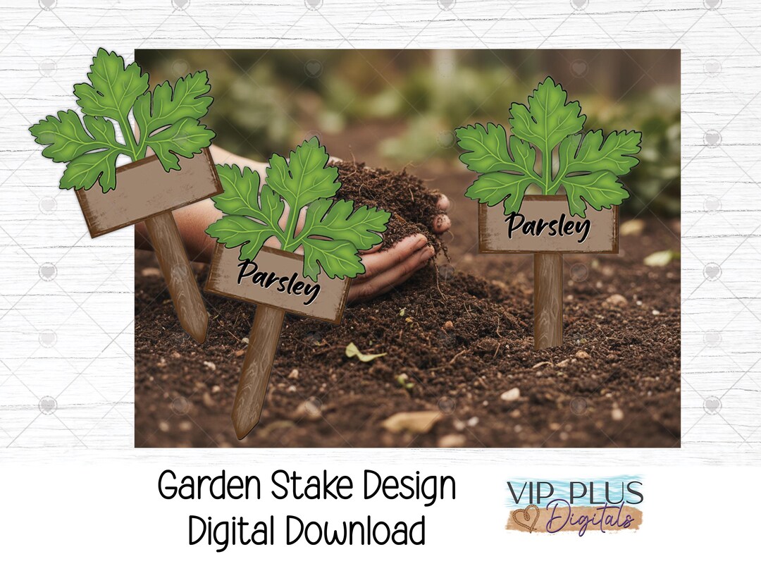 Parsley Garden Stake PNG: Plant Stake Sublimation Design (digital ...