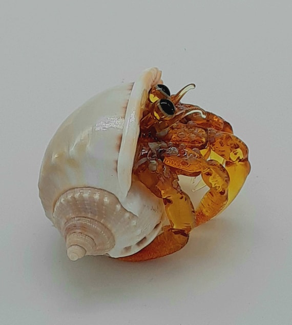 Hermit Crab Glass Shell