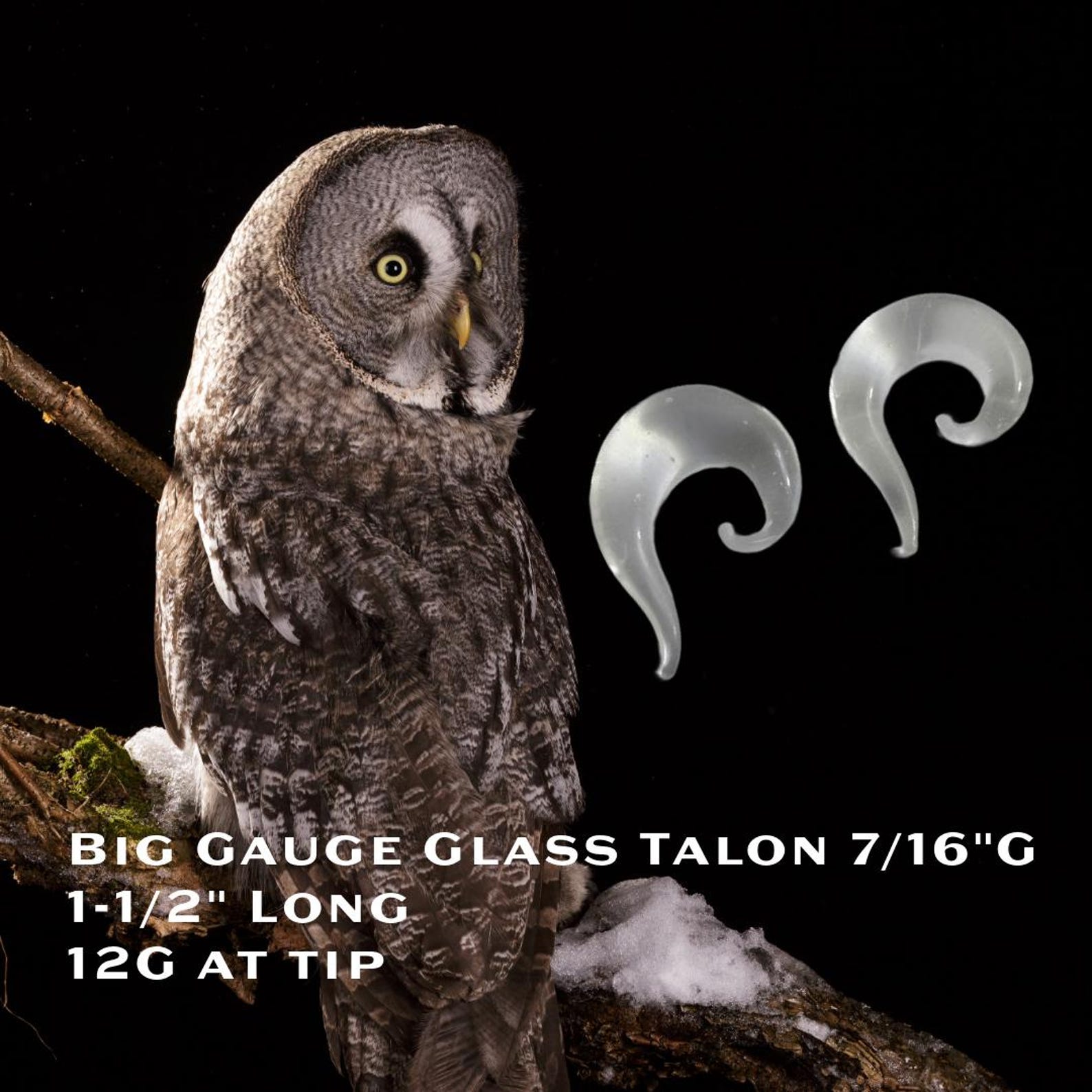Talon Stretcher Big Gauge Glass Plug - Etsy