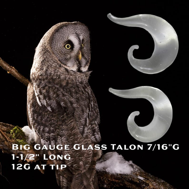 Talon Stretcher Big Gauge Glass Plug - Etsy