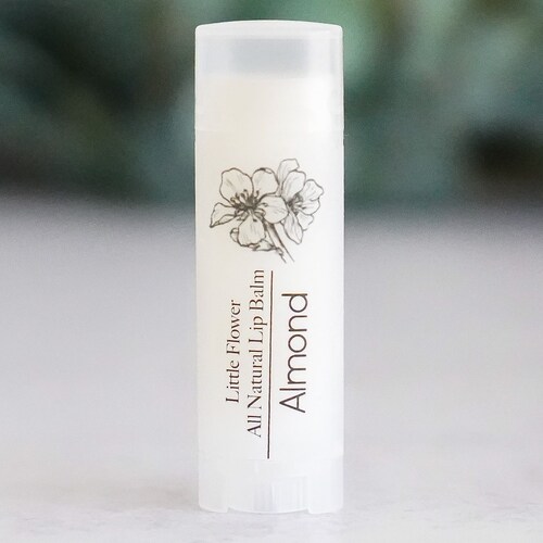 Raspberry Lip Balm Natural Chapstick Lip Balms Shea Butter - Etsy