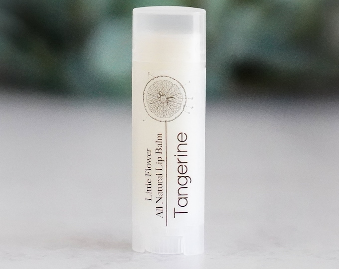 Dill Pickle Lip Balm Unique Gifts for Women Gift for Her - Etsy