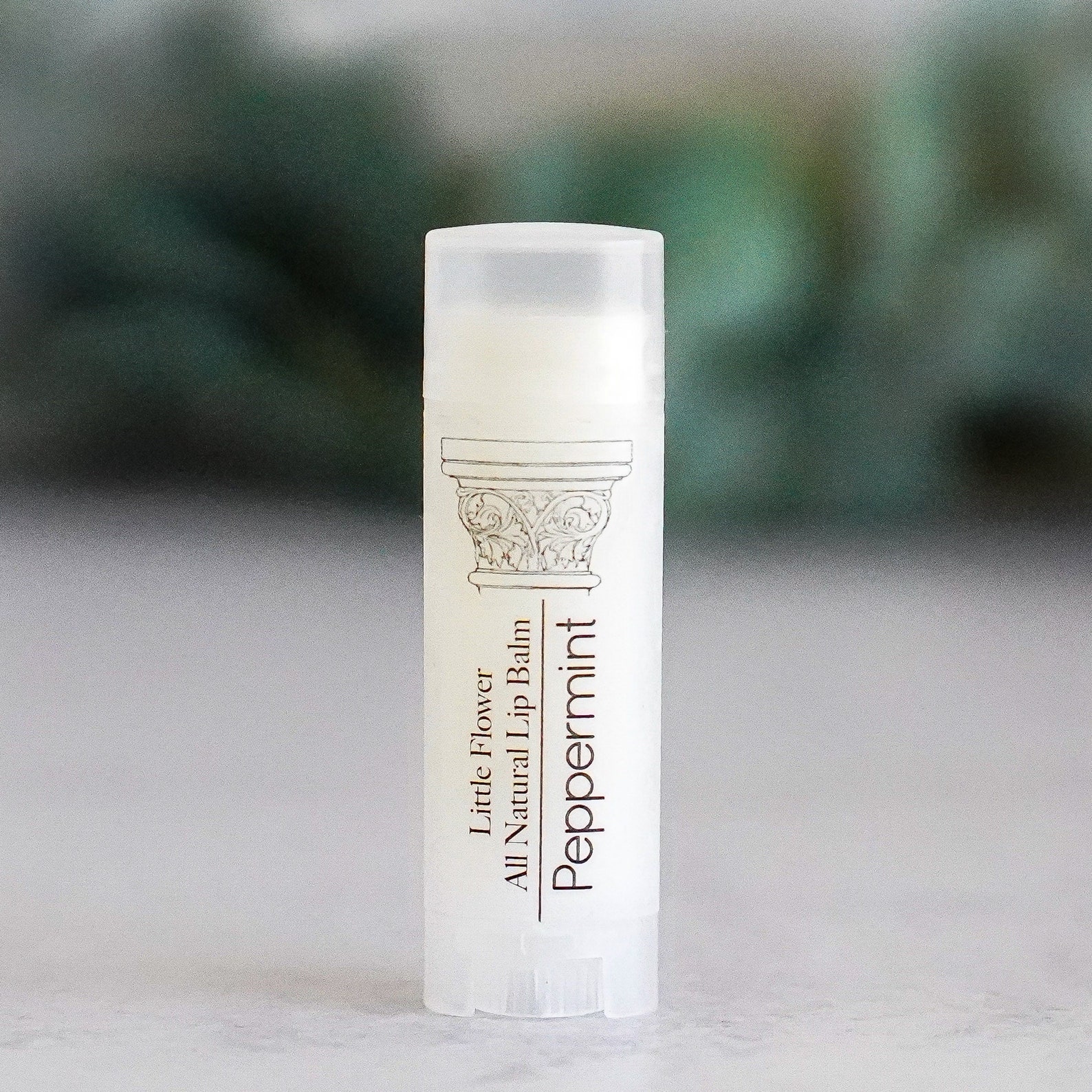 Peppermint Lip Balm, Natural Chapstick, Lip Balms Shea Butter, Flavored ...
