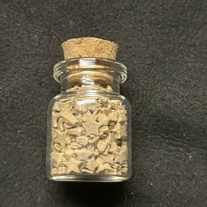 Star Crinoids From Southern Utah. - Etsy