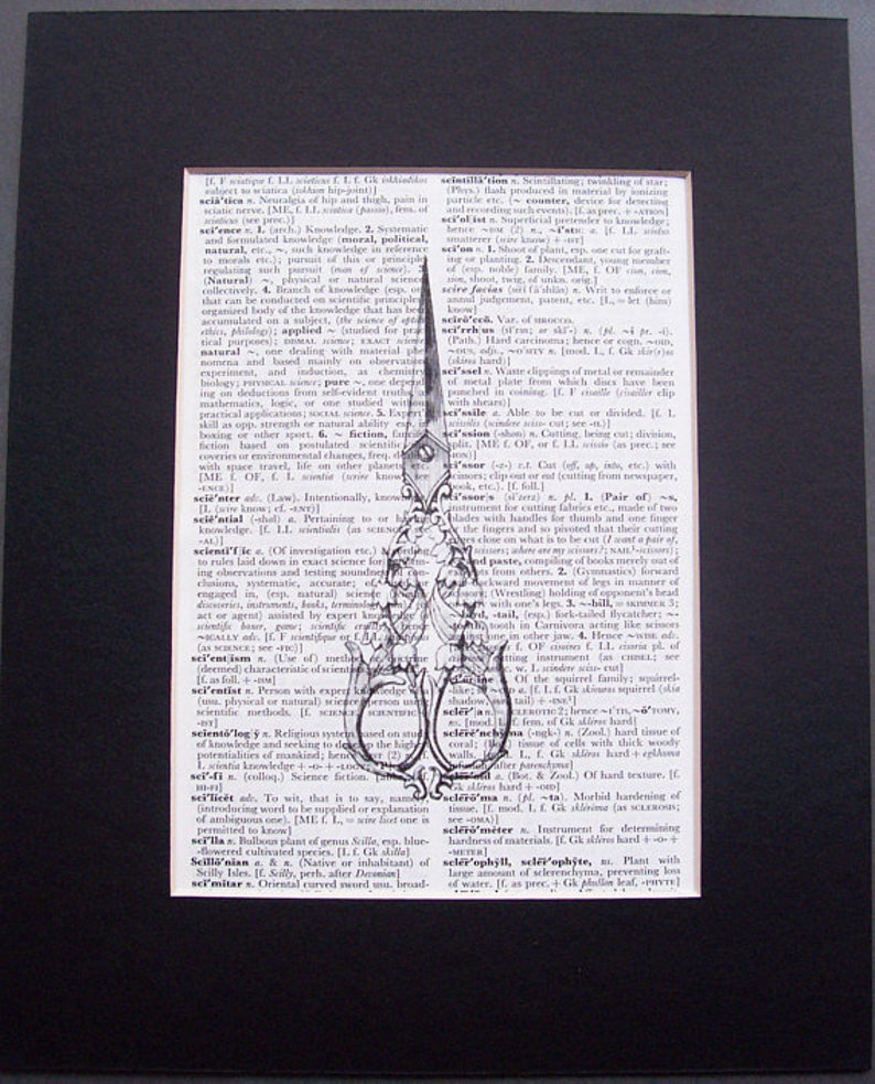 Embroidery Scissors Art Print Decor Dictionary Page - Etsy