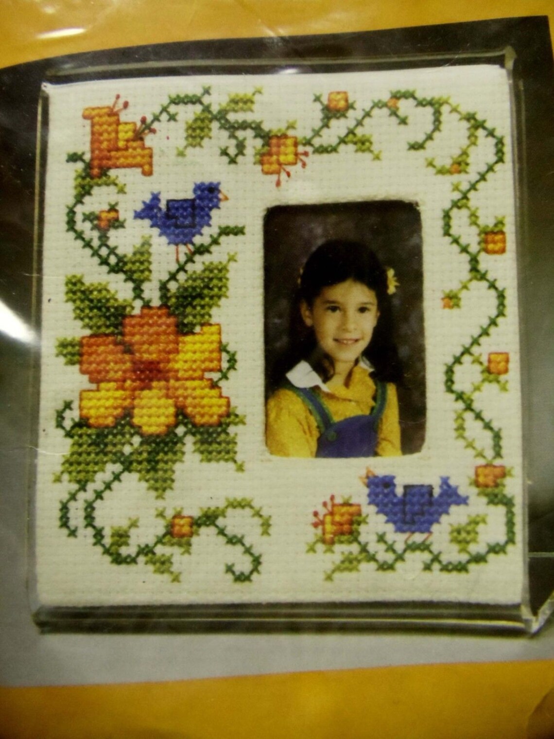Cross Stitch Picture Frame Kit Birds and Blossoms With Acrylic - Etsy