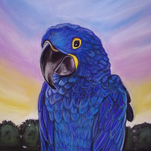 Macaw Painting Original - Etsy