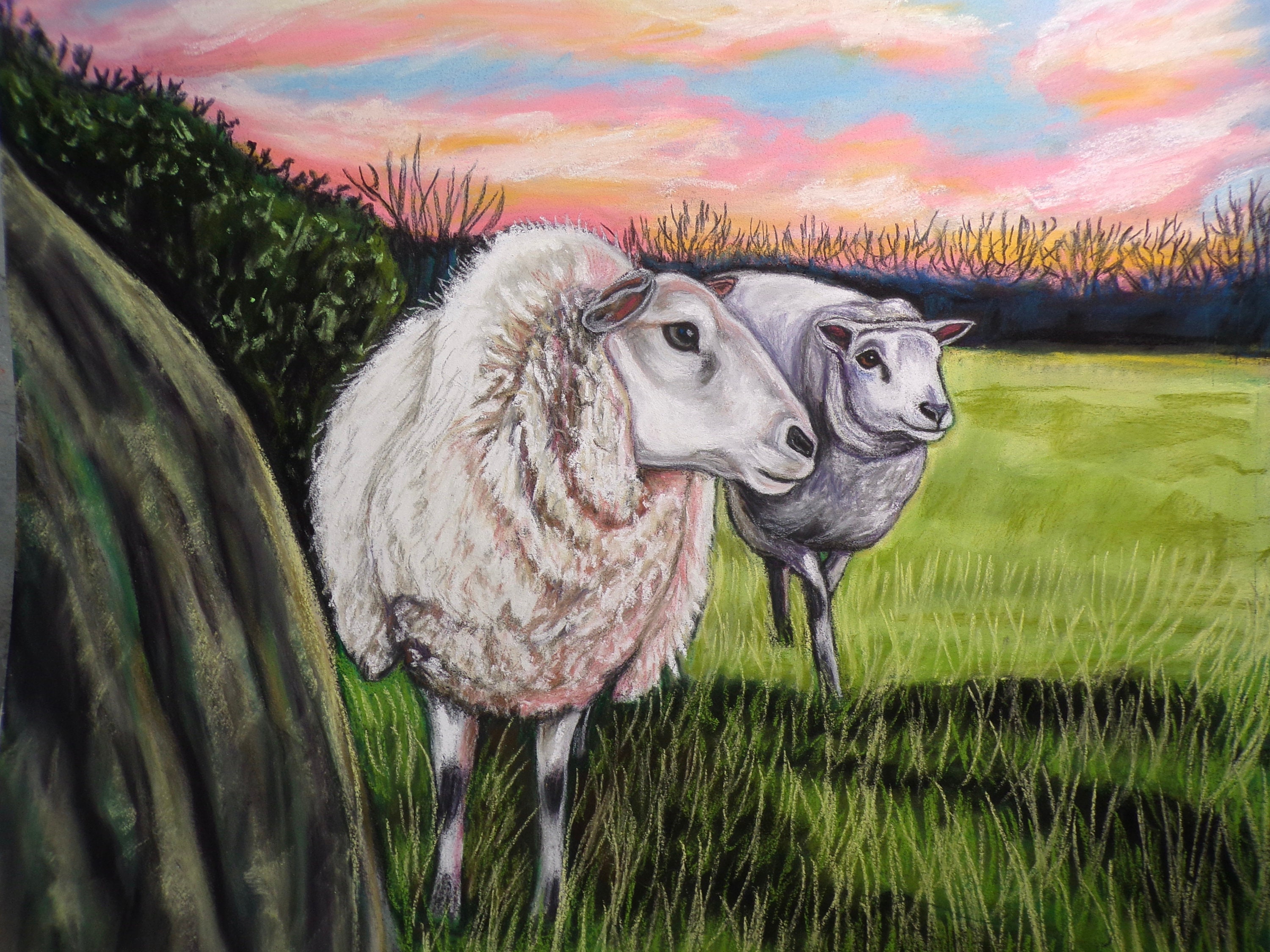 Sheep Original Painting-sheep Art-sheep Gift - Hand Painted Art ...