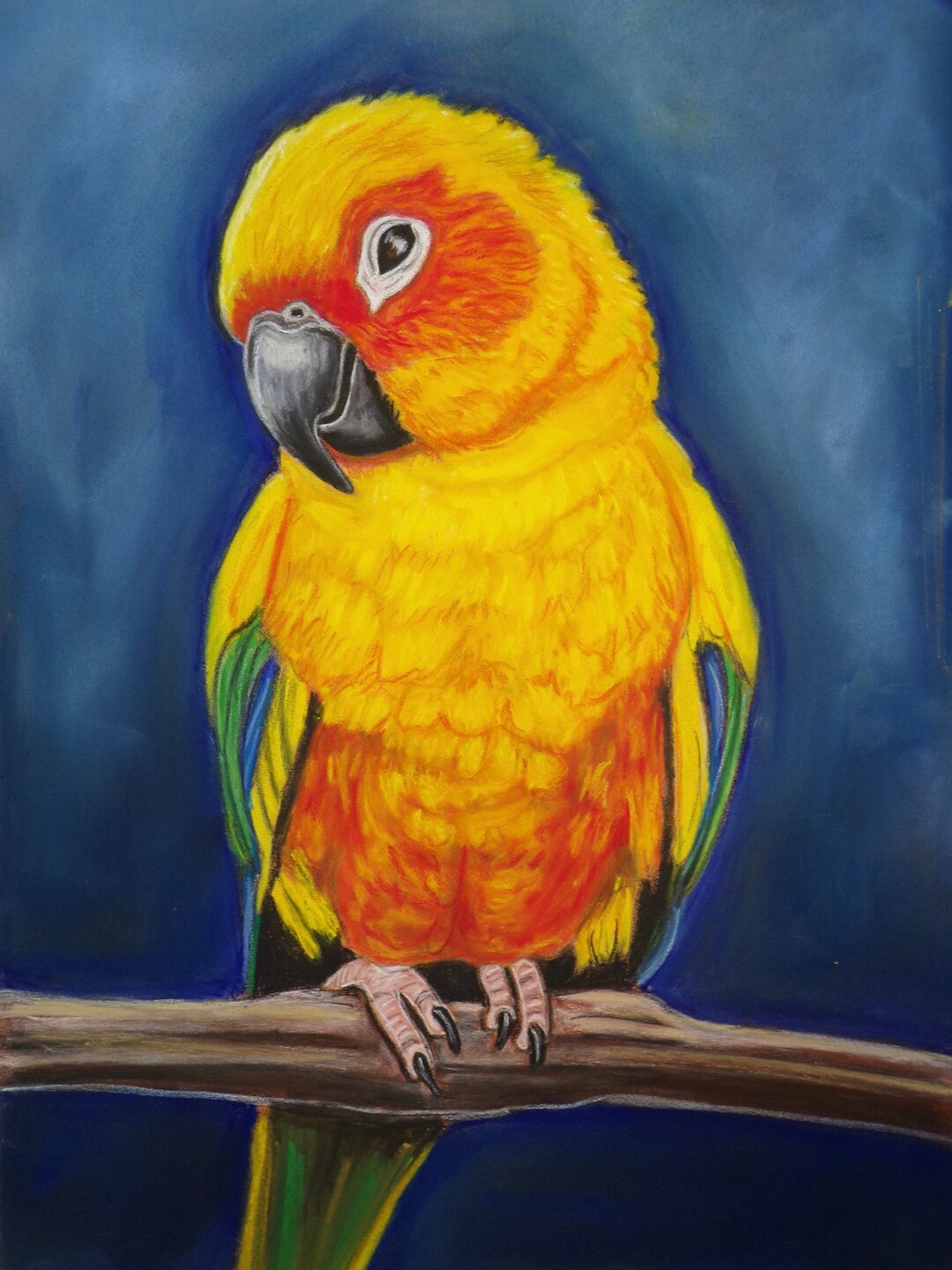 Sun Conure Original Painting-sun Conure Gift-parrot Gift- Hand Painted ...