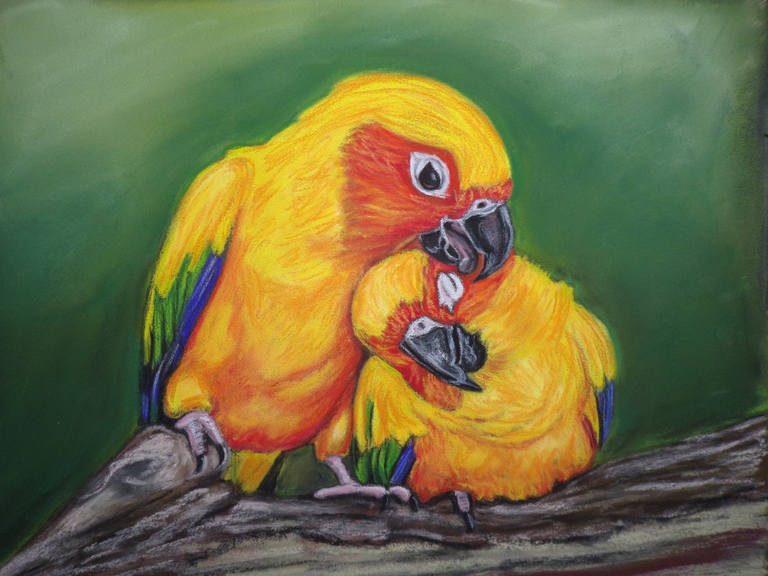 Sun Conure Parrot Painting, Parrot Art , Original Painting - Etsy