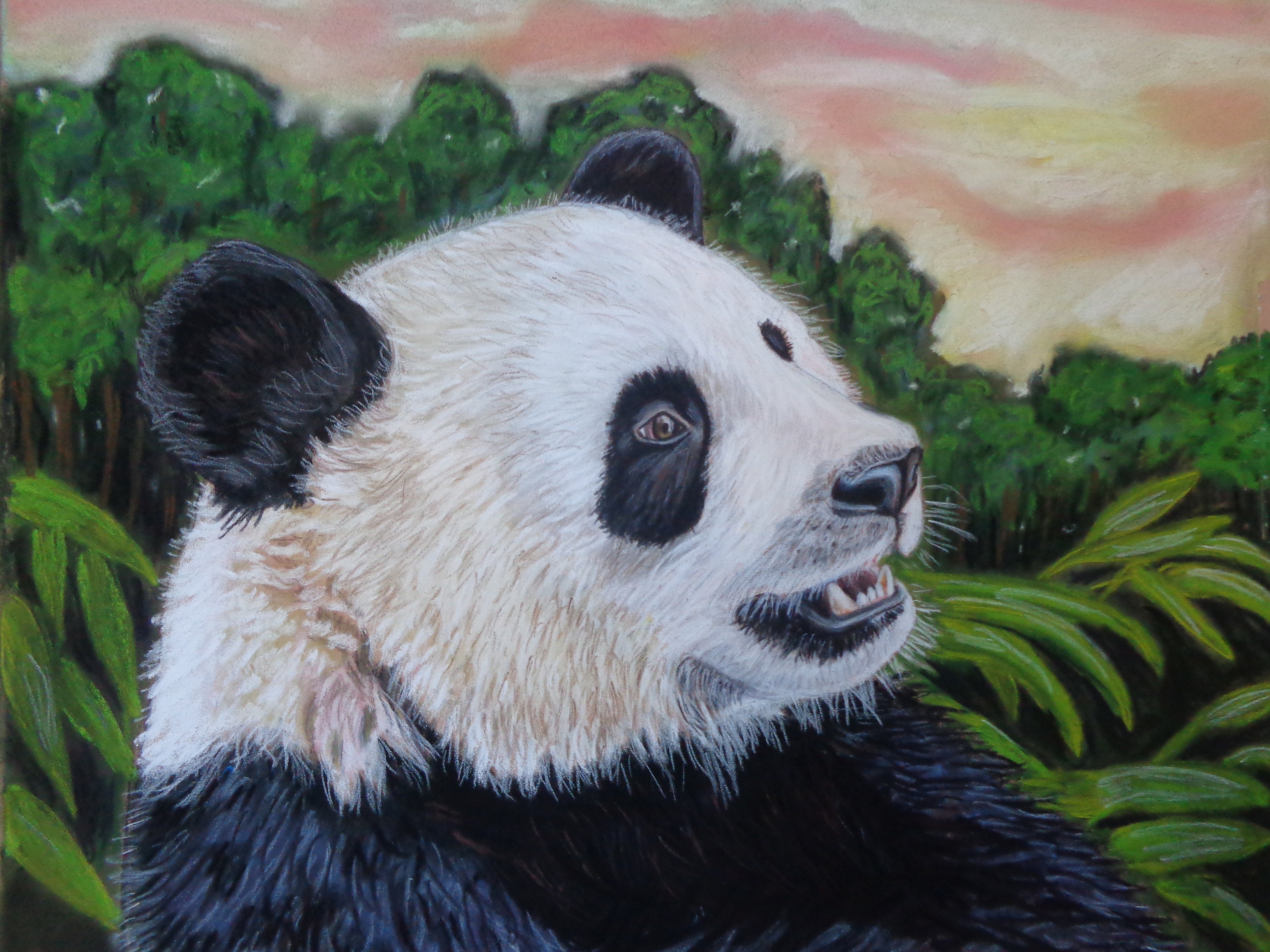 Panda Bear in the Forest Original Animal Wall Art Painting- Hand ...