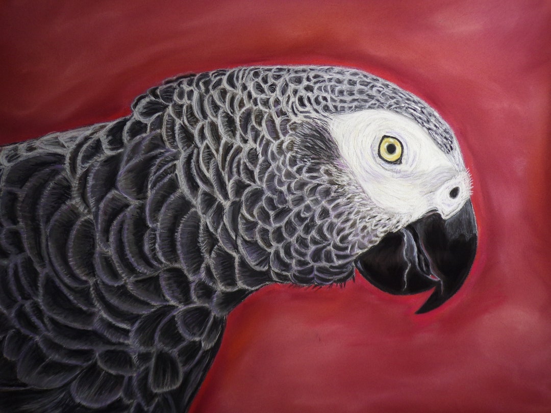 African Grey Parrot Print of the Original Painting-pet Portrait- Parrot ...