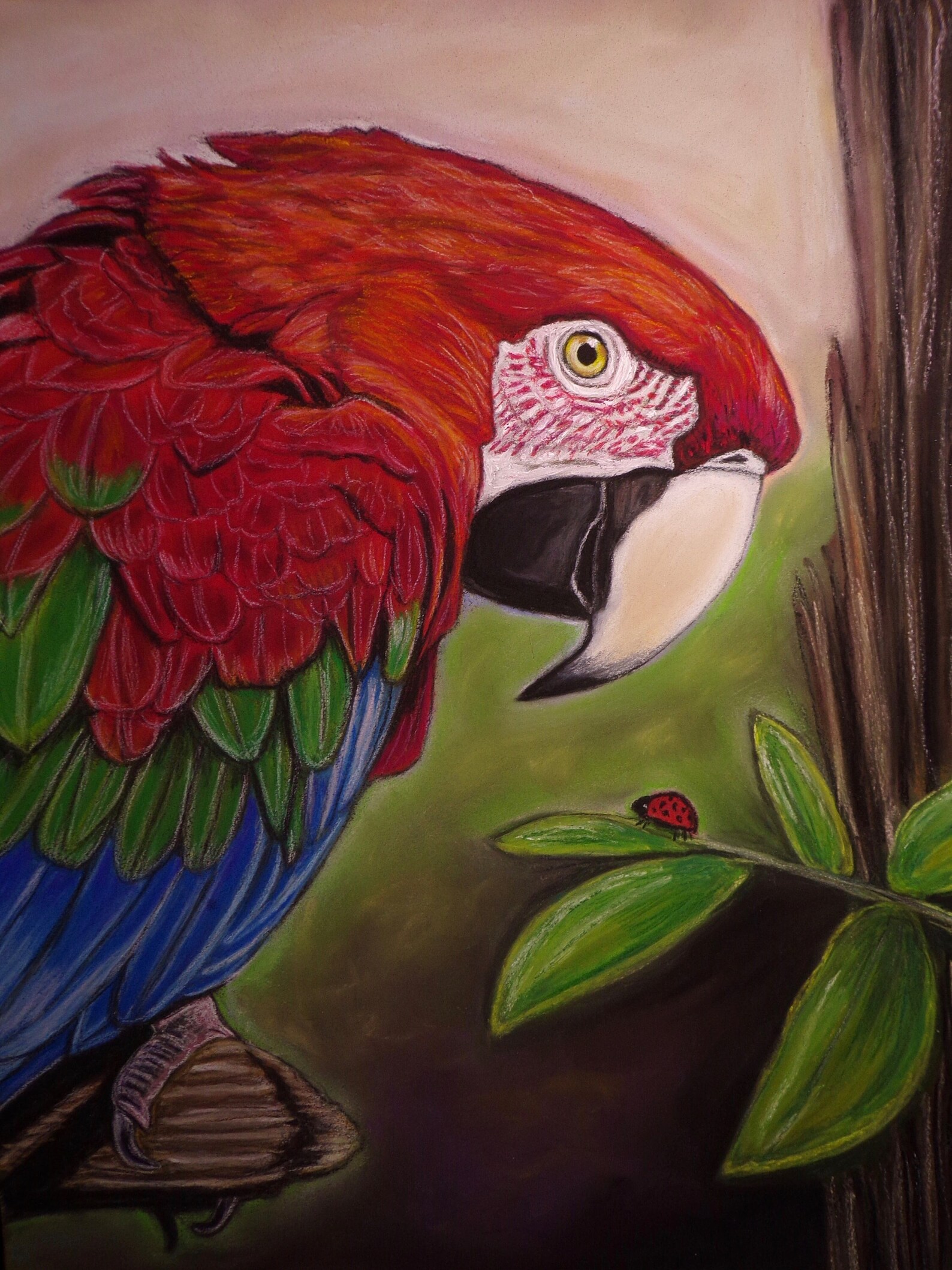 Macaw Parrot O Original Painting-red and Green Macaw- Green Wing Macaw ...