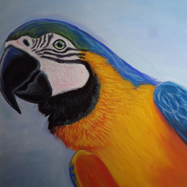 Macaw Painting Original - Etsy