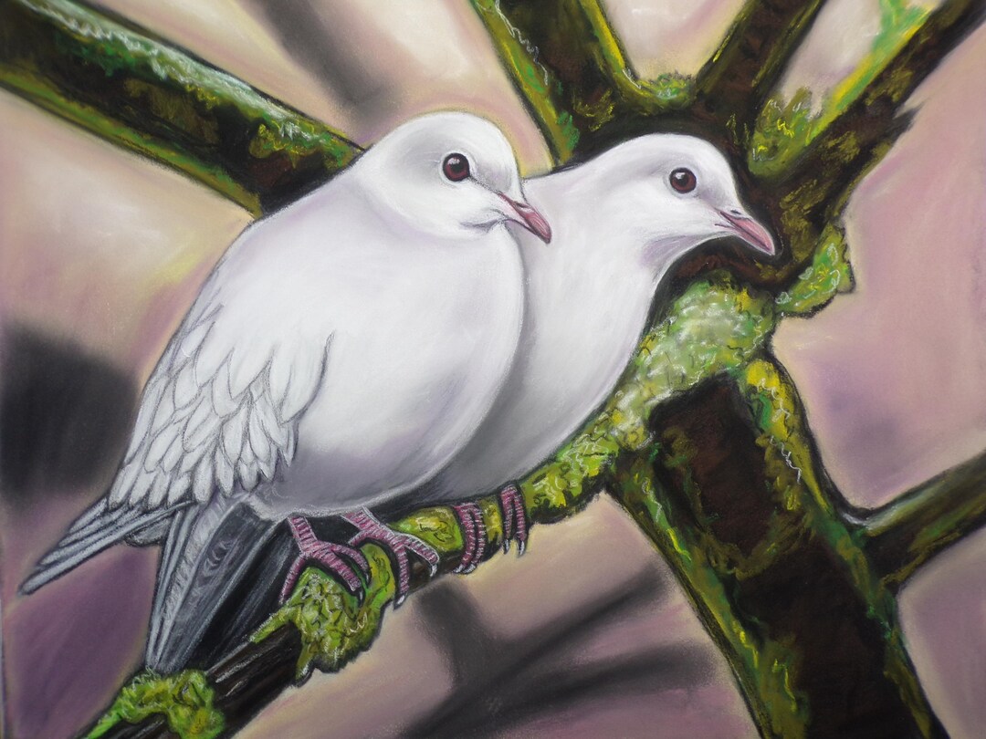 White Doves Bird Original Painting-wild Bird Wall Art-hand Painted Art ...