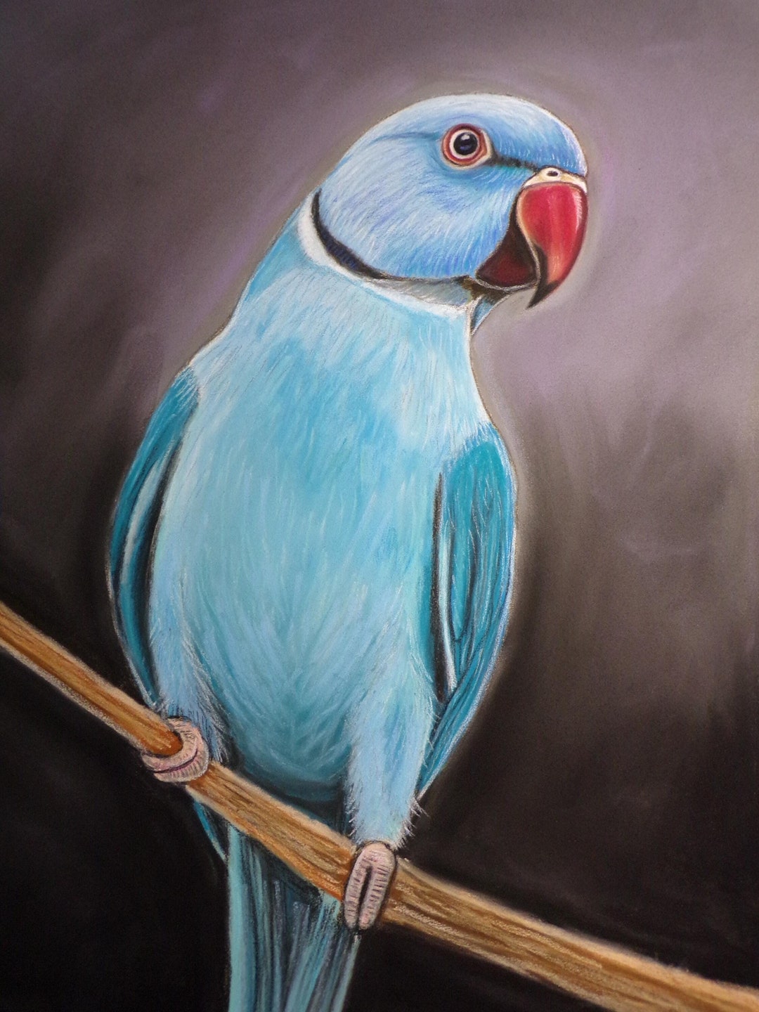 Blue Indian Ringneck Parrot Pastel Painting – Original Handmade Art ...