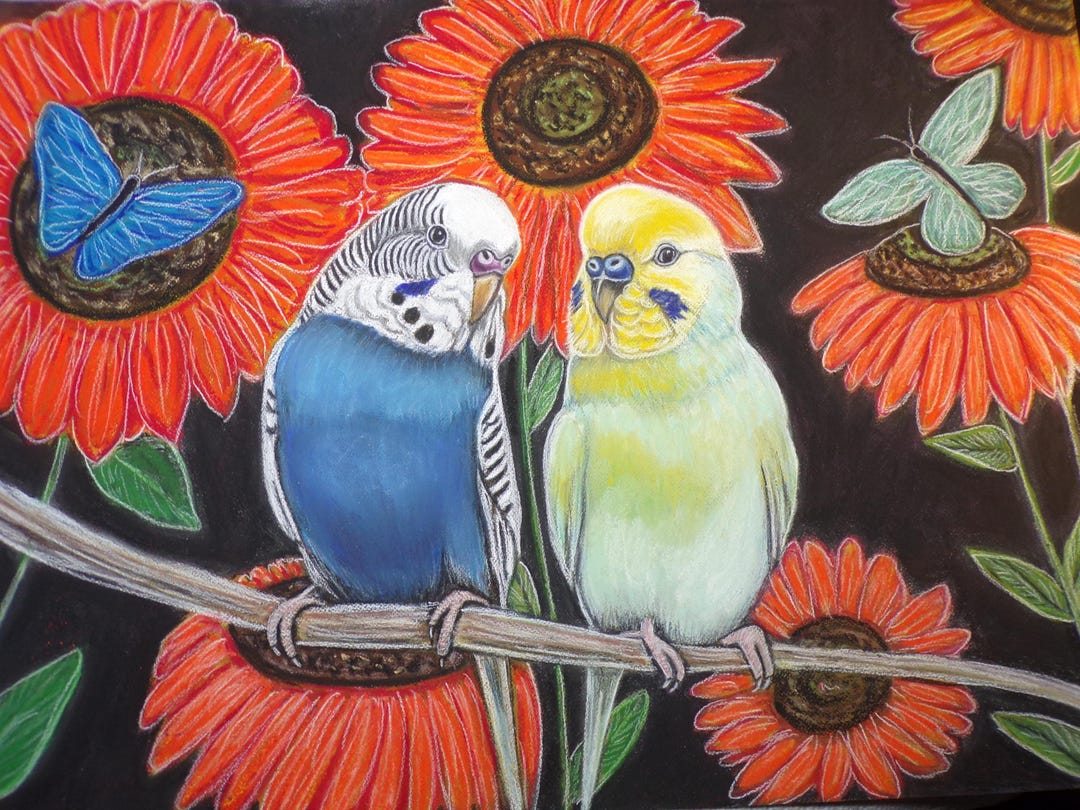 Parakeet Painting, Budgerigar, Budgie Painting, Parakeet Gift-parakeet ...