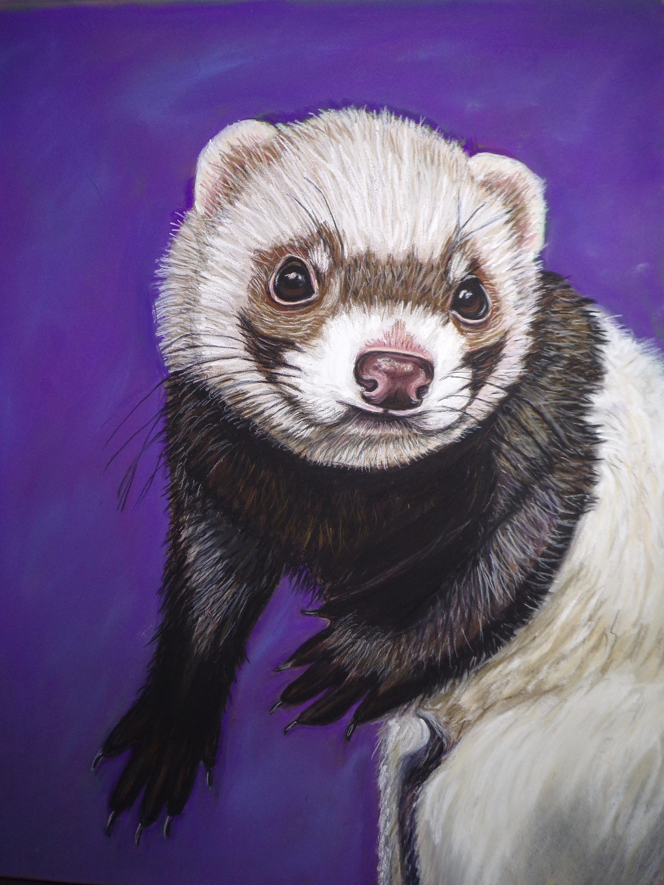 Ferret Original Painting-ferret Art -pet Portrait- Handmade Painting ...