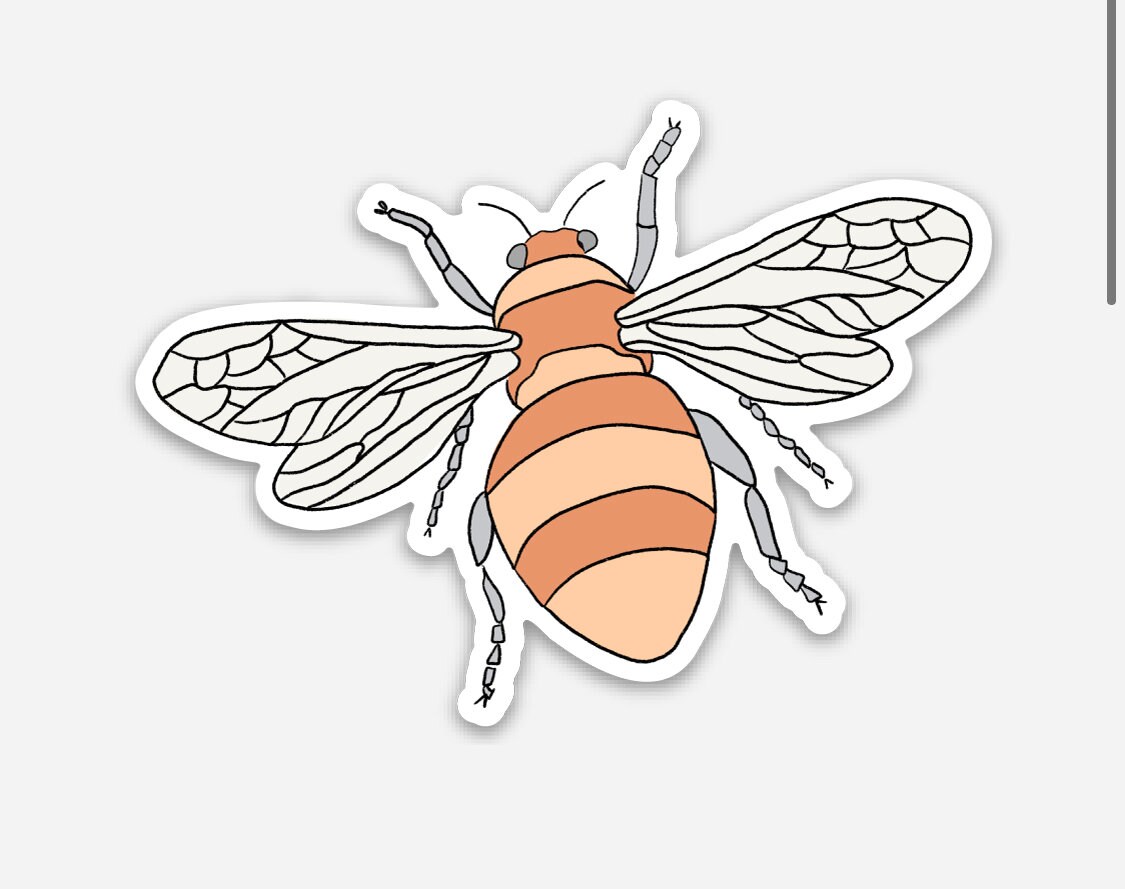 Bee Vinyl Sticker/white Background/vsco/boho/laptop Sticker/journal ...