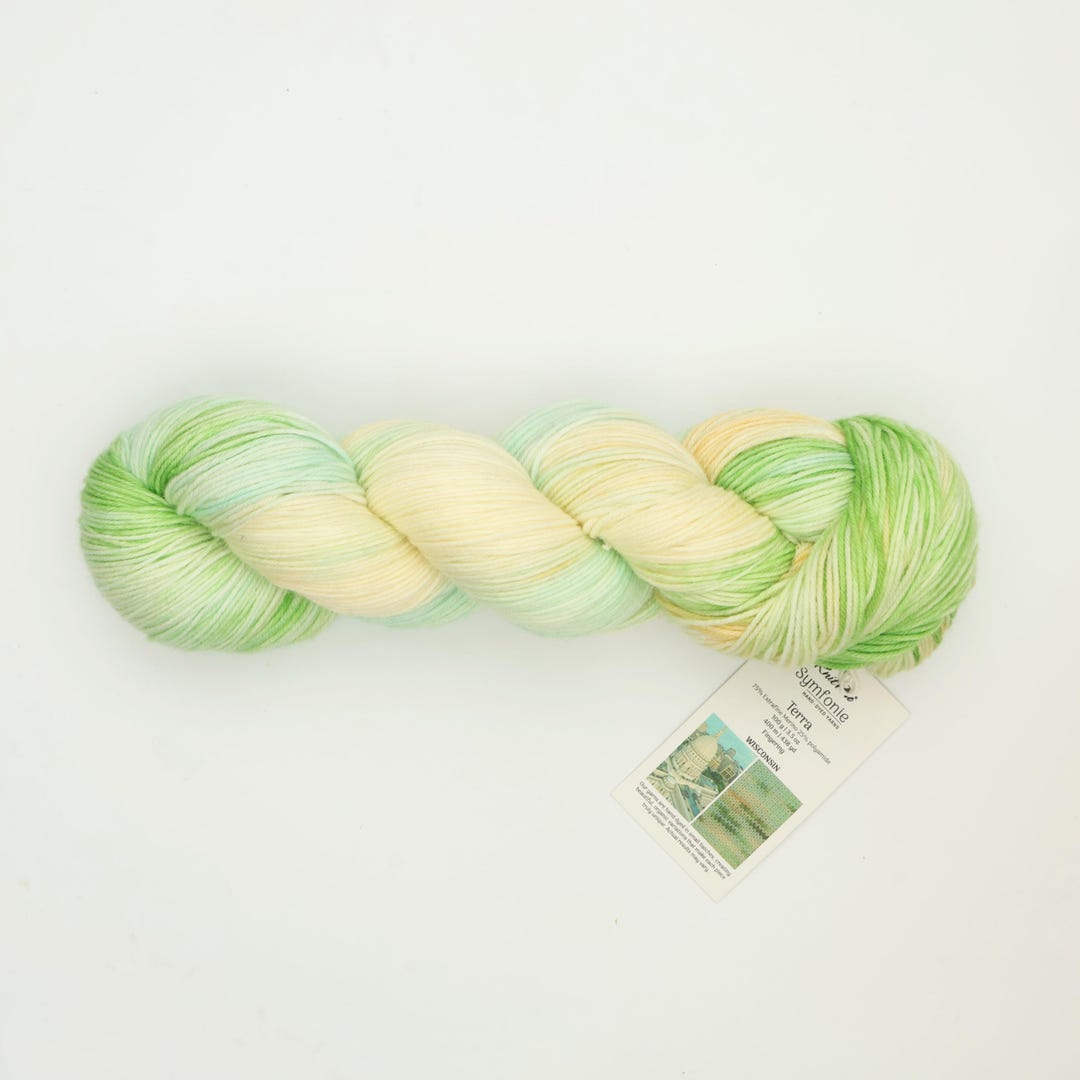 Wisconsin Symfonie Hand Dyed Yarns - Terra Variegated (superwash Merino ...