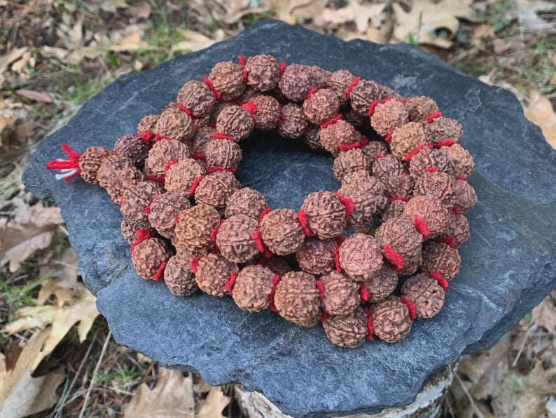 108 Beads Himalaya Rudraksha Shiva Japa Mala XL Size - Handmade in ...