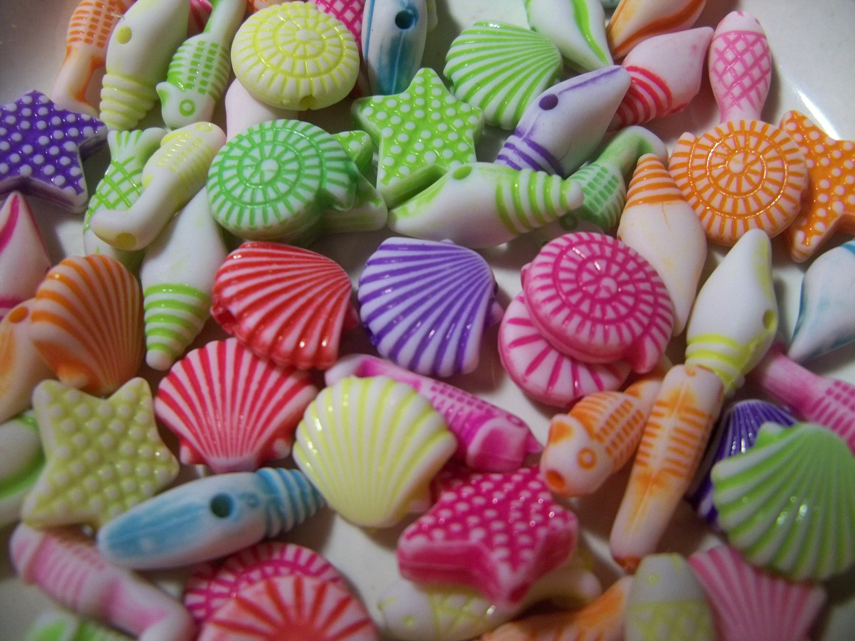Marine Sea Shell Beads - 50 PCS - Etsy