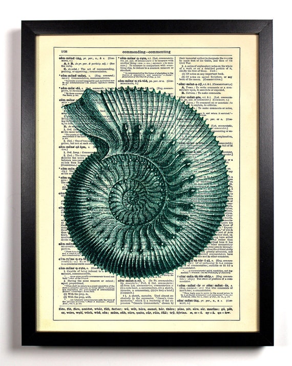 Beautiful teal Sea Shell Home Kitchen Nursery Office