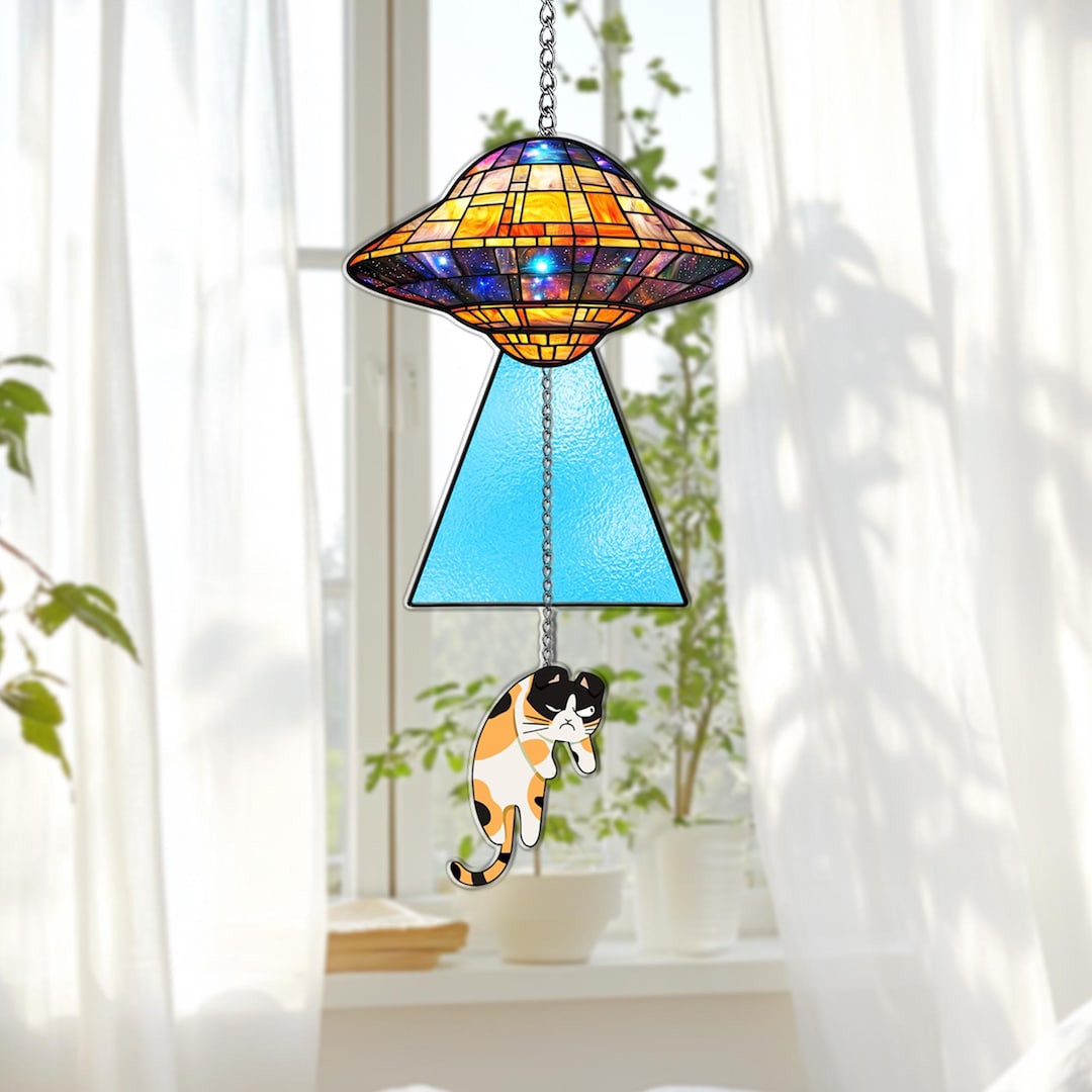 Funny UFO Cat Suncatcher: Custom Cat Breed Window Hanging - Etsy UK