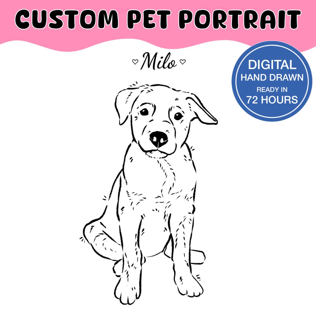 Custom Pet Outline Drawing, Dog Drawing, Pet Portrait Lineart, Cat Body ...