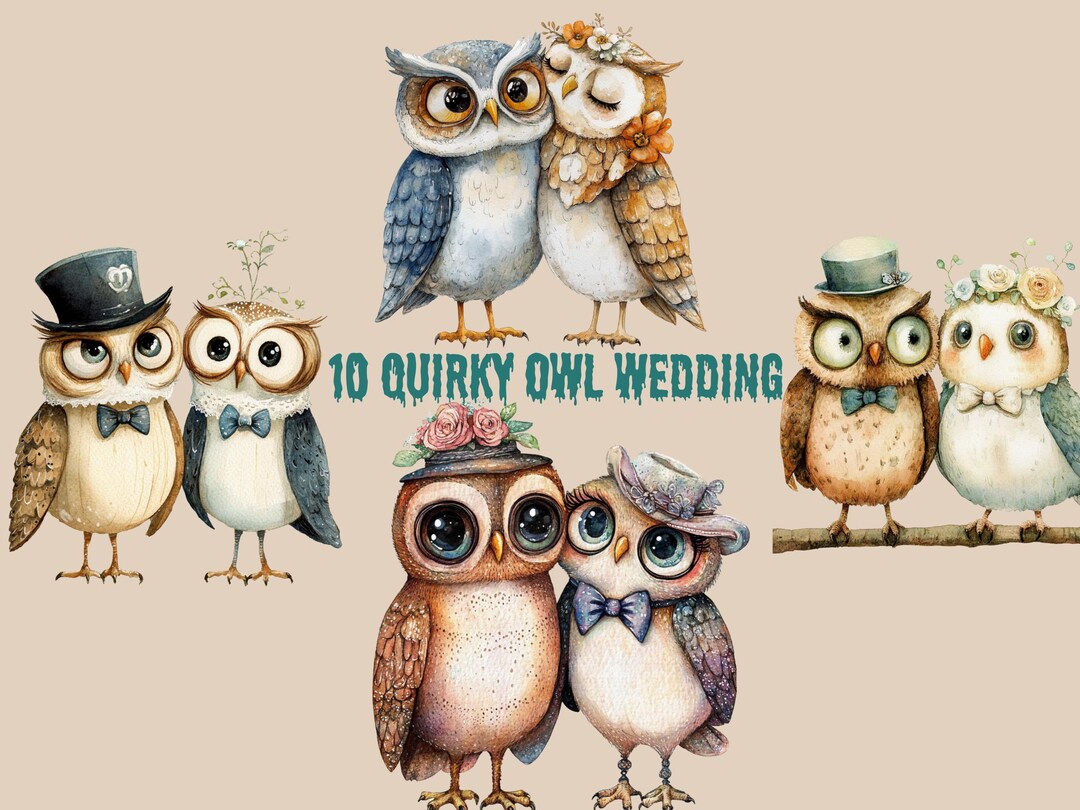 Owl Wedding Clipart: Funny Animal Couples PNG (digital Download) - Etsy