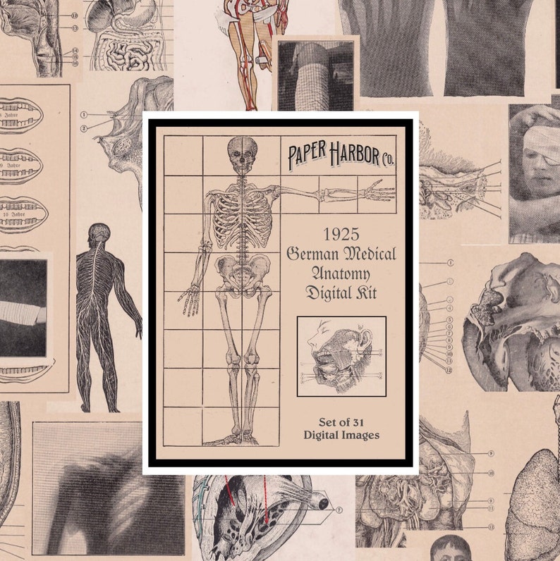Antique 1925 German Medical Anatomy & Xrays Digital Images Kit PNG ...