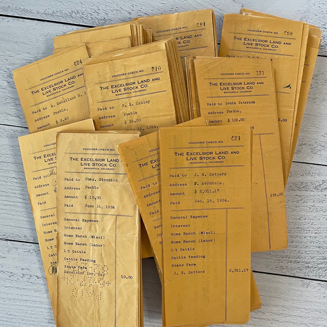 Antique 1920's Excelsior Land & Live Stock Co. Check Vouchers Set of 3 ...