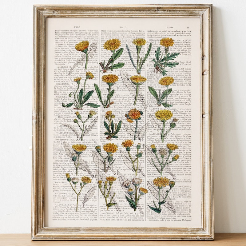 Dandelion Botanical Print - Etsy