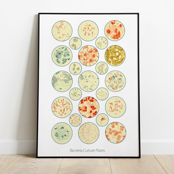 Microbiology - Etsy