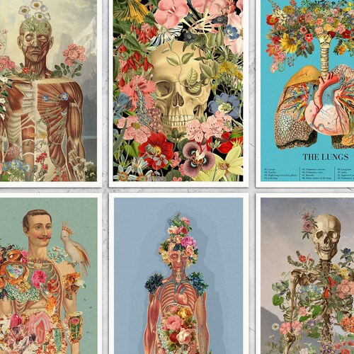 Anatomical Art Human Anatomy Poster Gift for Doctor Medical | Etsy