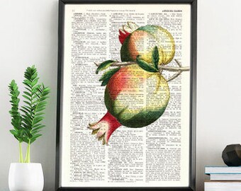 Pomegranate art | Etsy