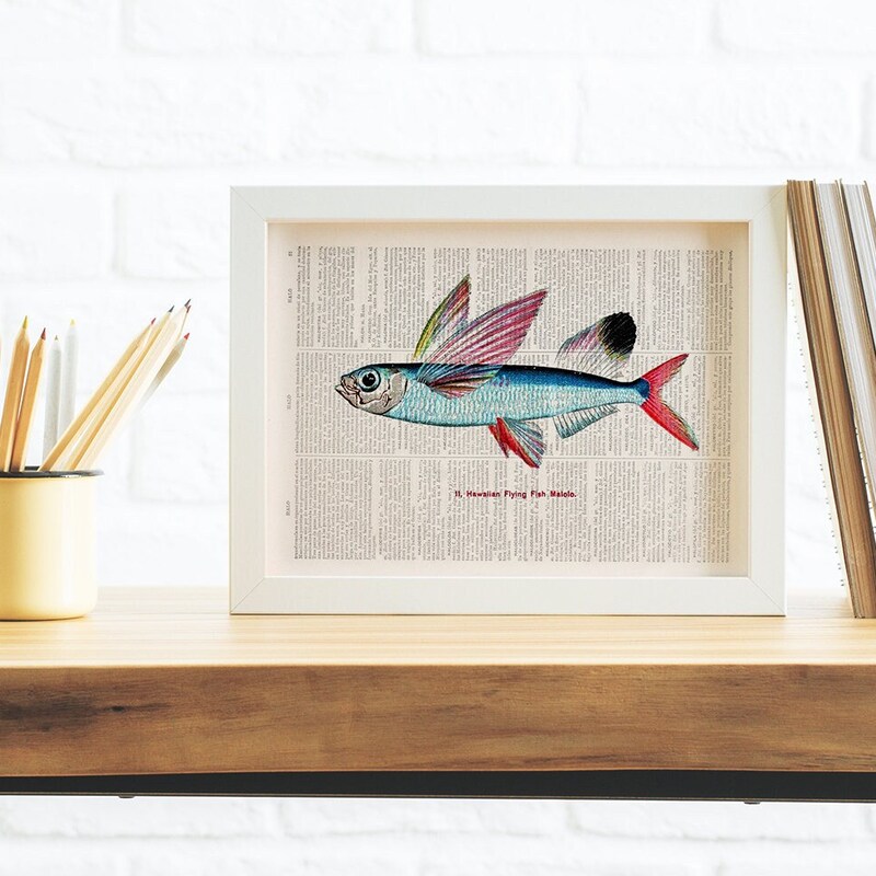 Flying Fish Print - Etsy