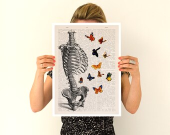 Butterfly skeleton | Etsy