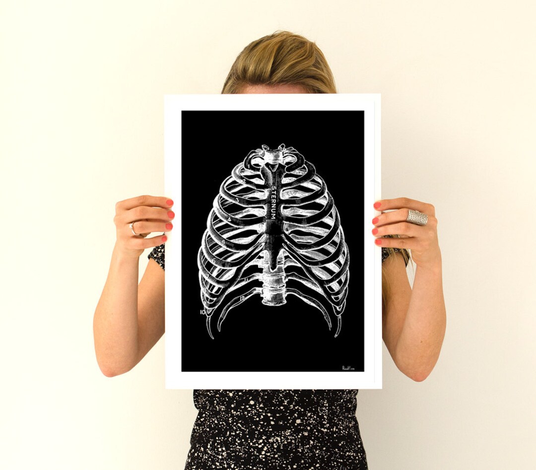 Human Rib Cage - Black Poster Anatomy Art - Anatomical Art Print - Gift ...