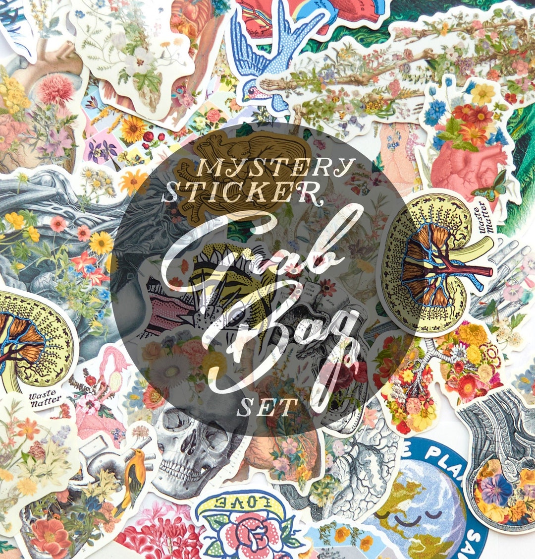 Mystery Sticker Grab Bag: Colorful Laptop Stickers - Etsy UK