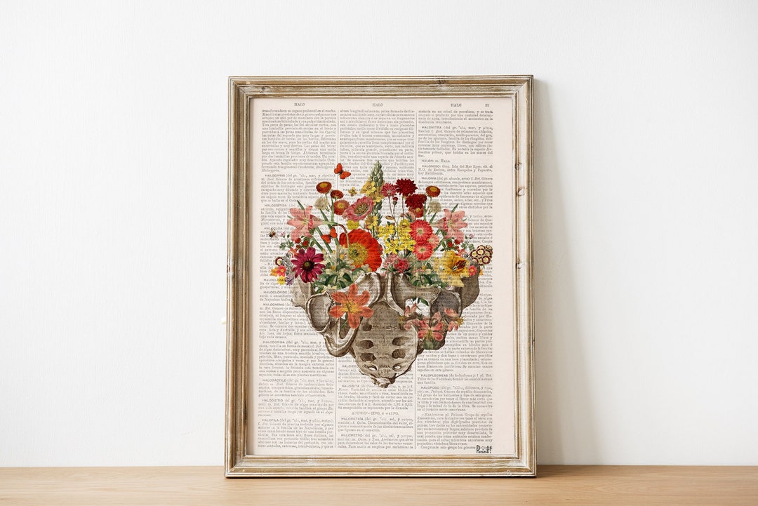 Intricate Pelvis Engraving Art Print | Hip Bones and Flowers ...