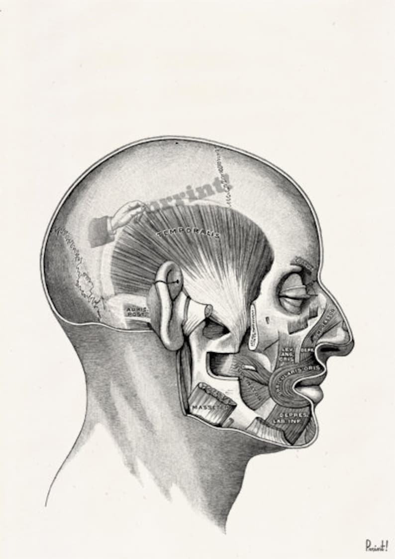 Human anatomy Set of 9 Anatomy Black and white Anatomical | Etsy