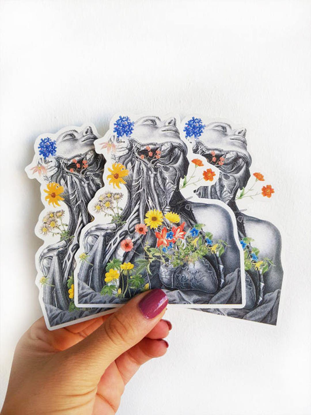 Neck & Veins Anatomy Stickers: Floral Doctor Gift, Laptop Decals (set ...