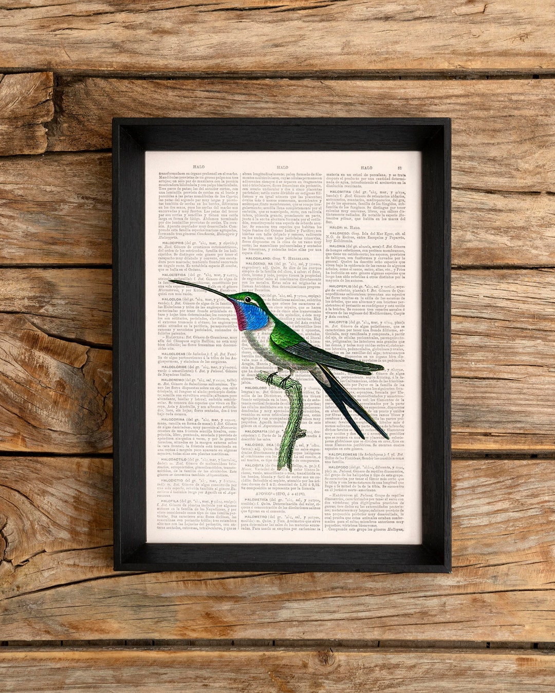 Hummingbird on Branch Dictionary Art Print | Cottagecore Nature Lover ...