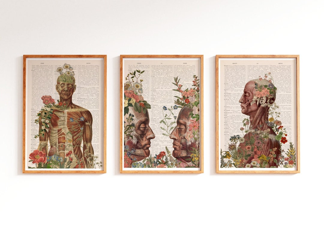 Anatomical Floral Art Prints: Muscle Anatomy Set of 3 - Etsy